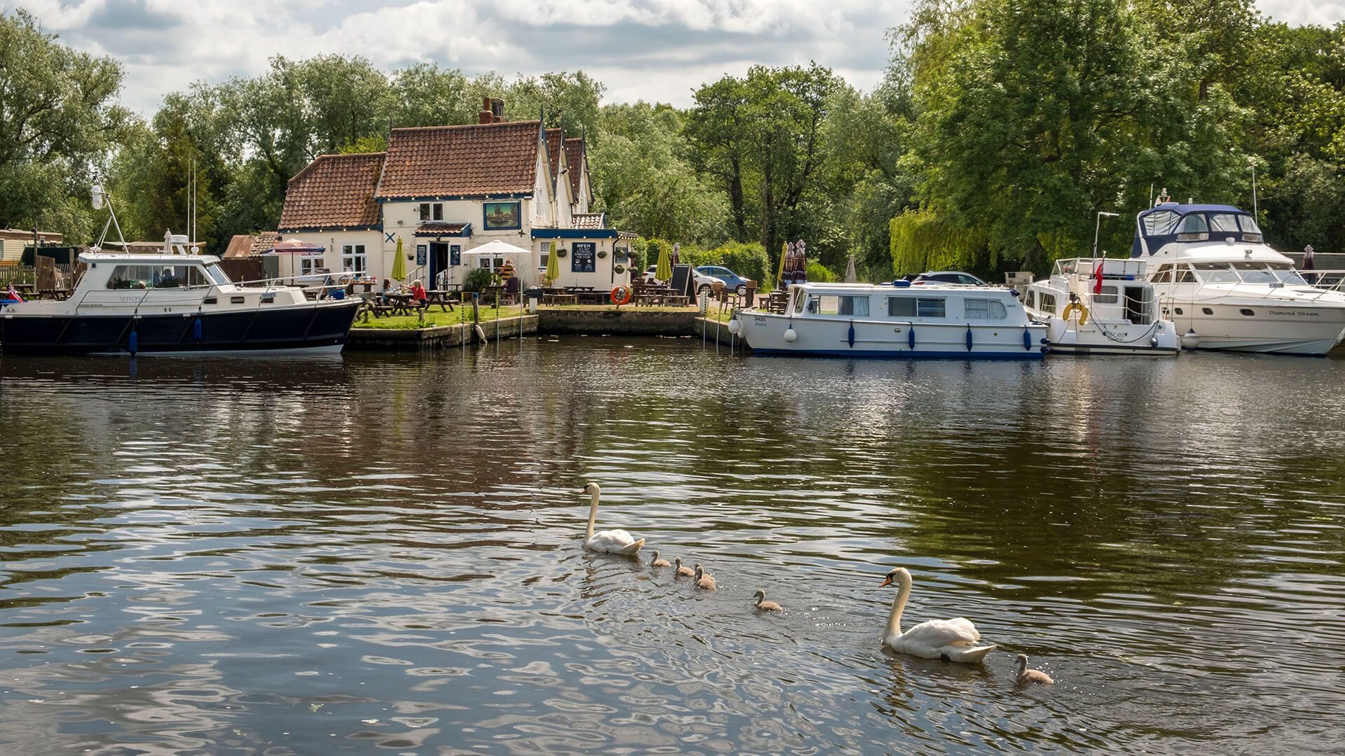 New build homes for sale in Norfolk | Orbit Homes