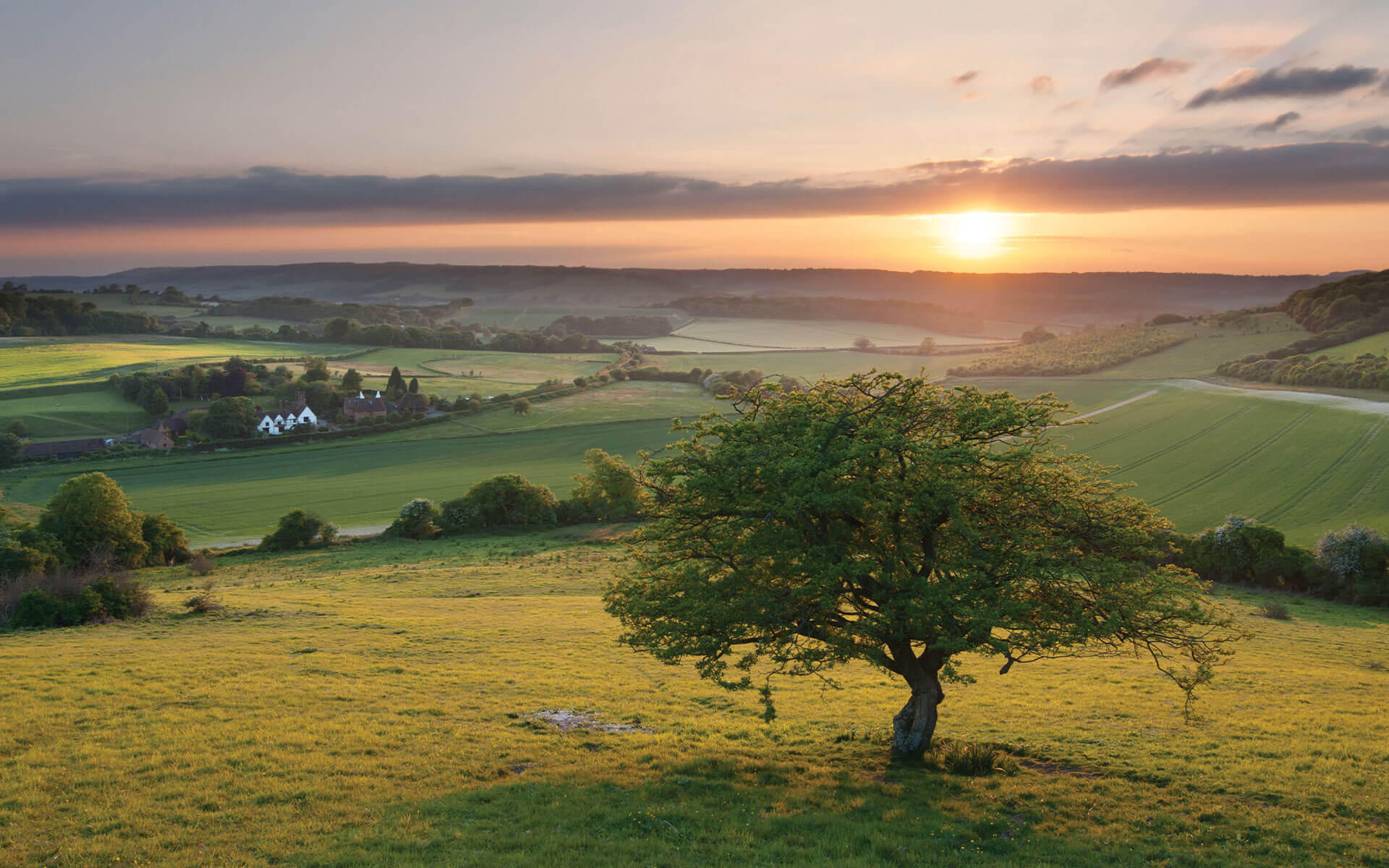 Orbit Homes at Beuley View | New homes in Wouldham | Orbit Homes