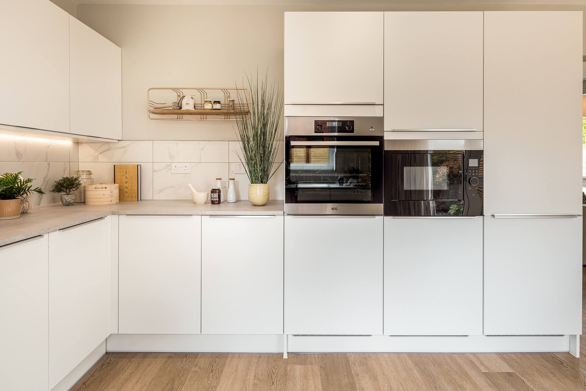 Foxglove - Micklewell Park